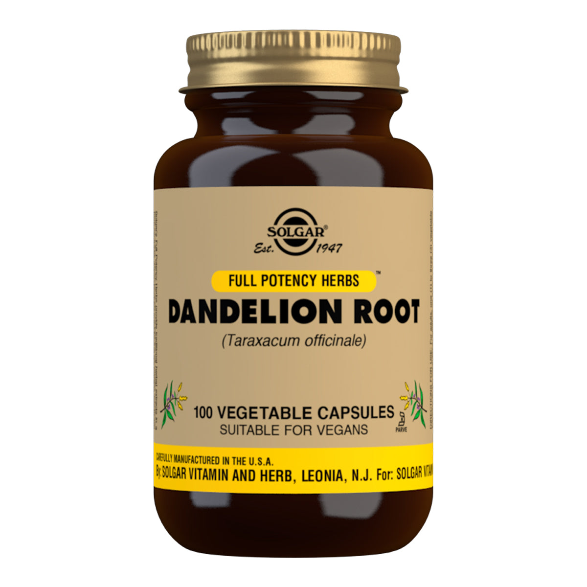dandelion root tablets
